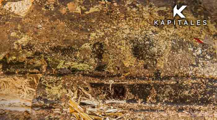 ASX 300 | ASX 300 Research & Recommendations | Top 300 ASX Listed ...